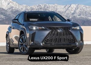 These 12 Cute SUVs For Females Will Make Your Heart Melt! Flawless Car ...